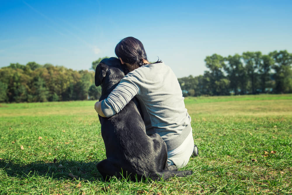 Labradorka Carla po 7 urah rešena iz jame - Moj Pes