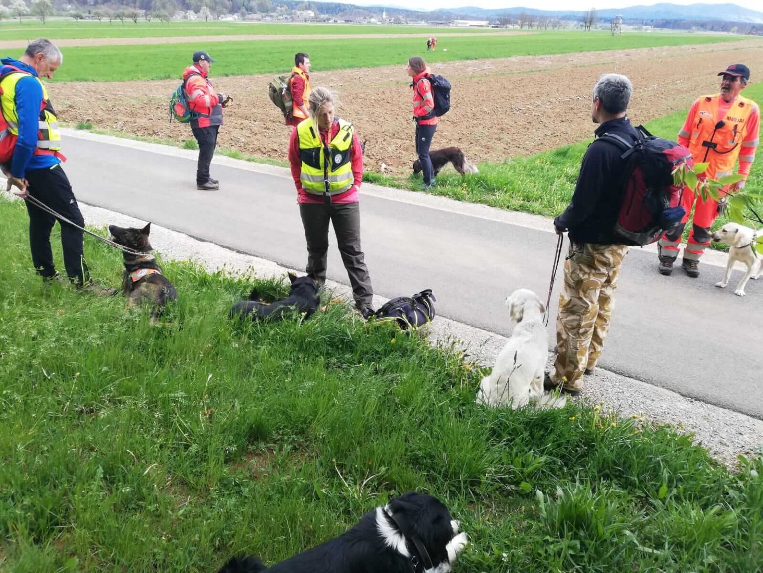 KD Storžič: Želijo si lastnega zemljišča za ureditev poligona - Moj Pes