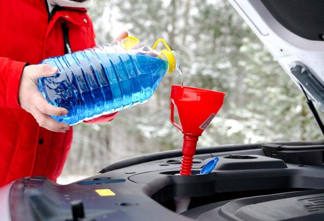 Grozljiva resnica: hrte v Španiji še vedno obešajo v imenu tradicije